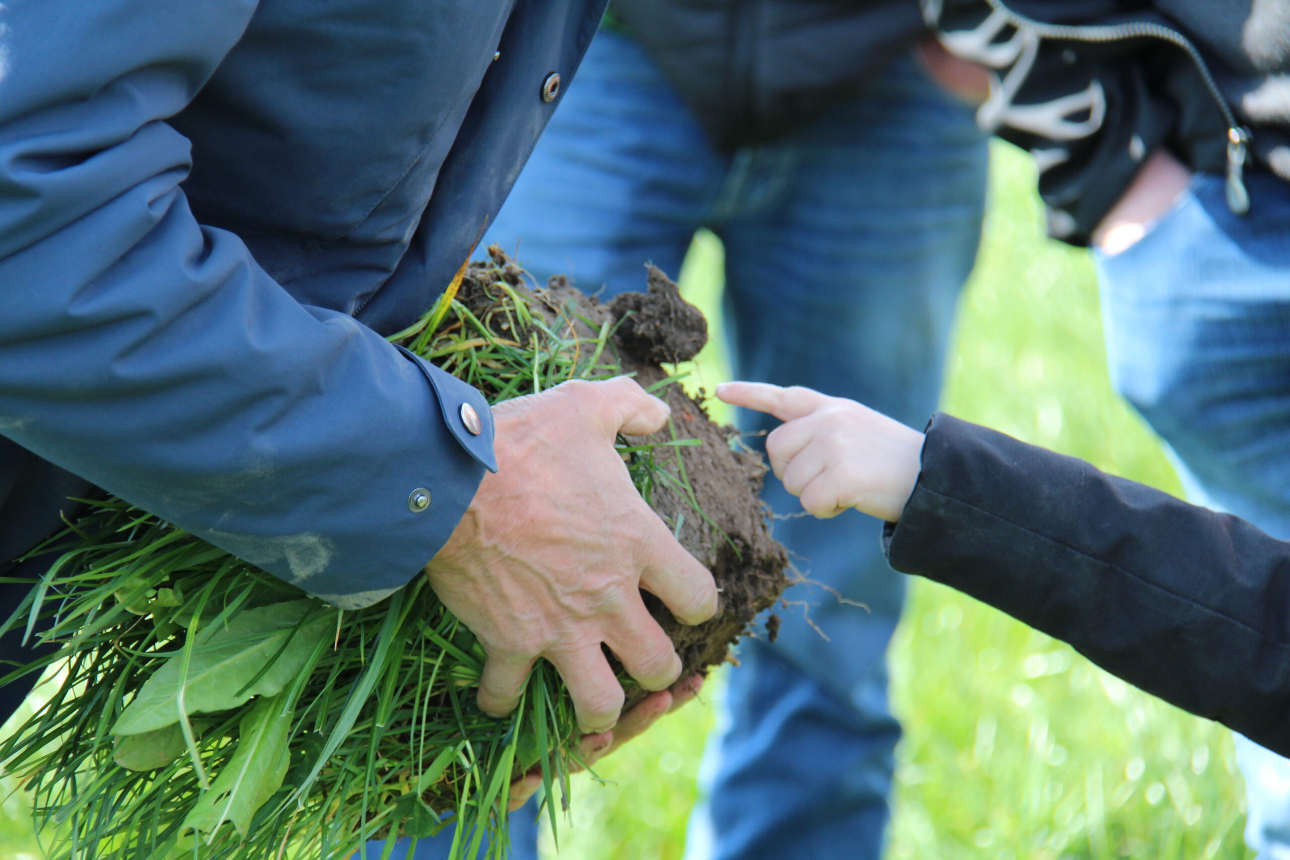 Onze projecten - Jaarverslag 2023